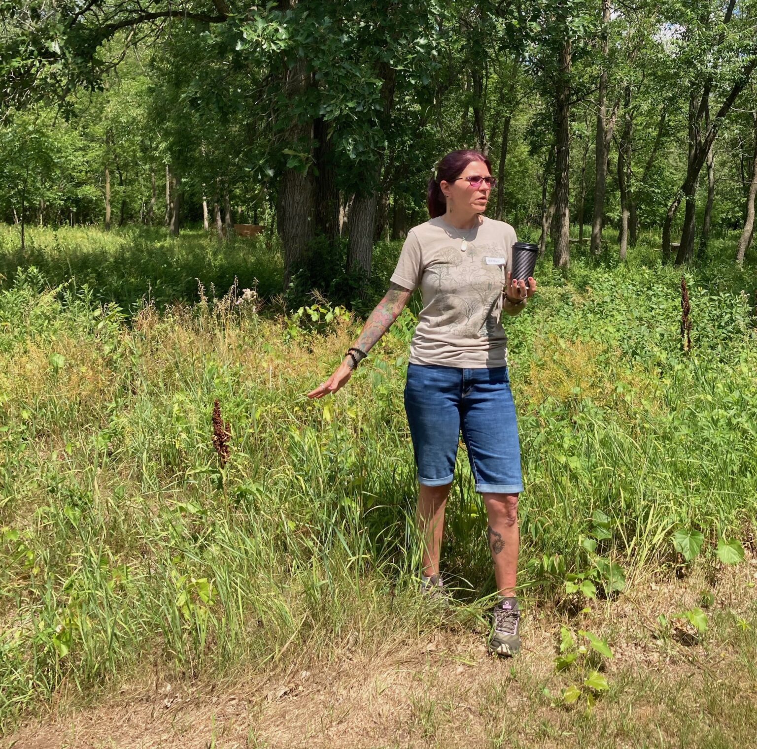 Herbal Remedies: A Foraging Walk (Intergenerational) - Saturday, June ...