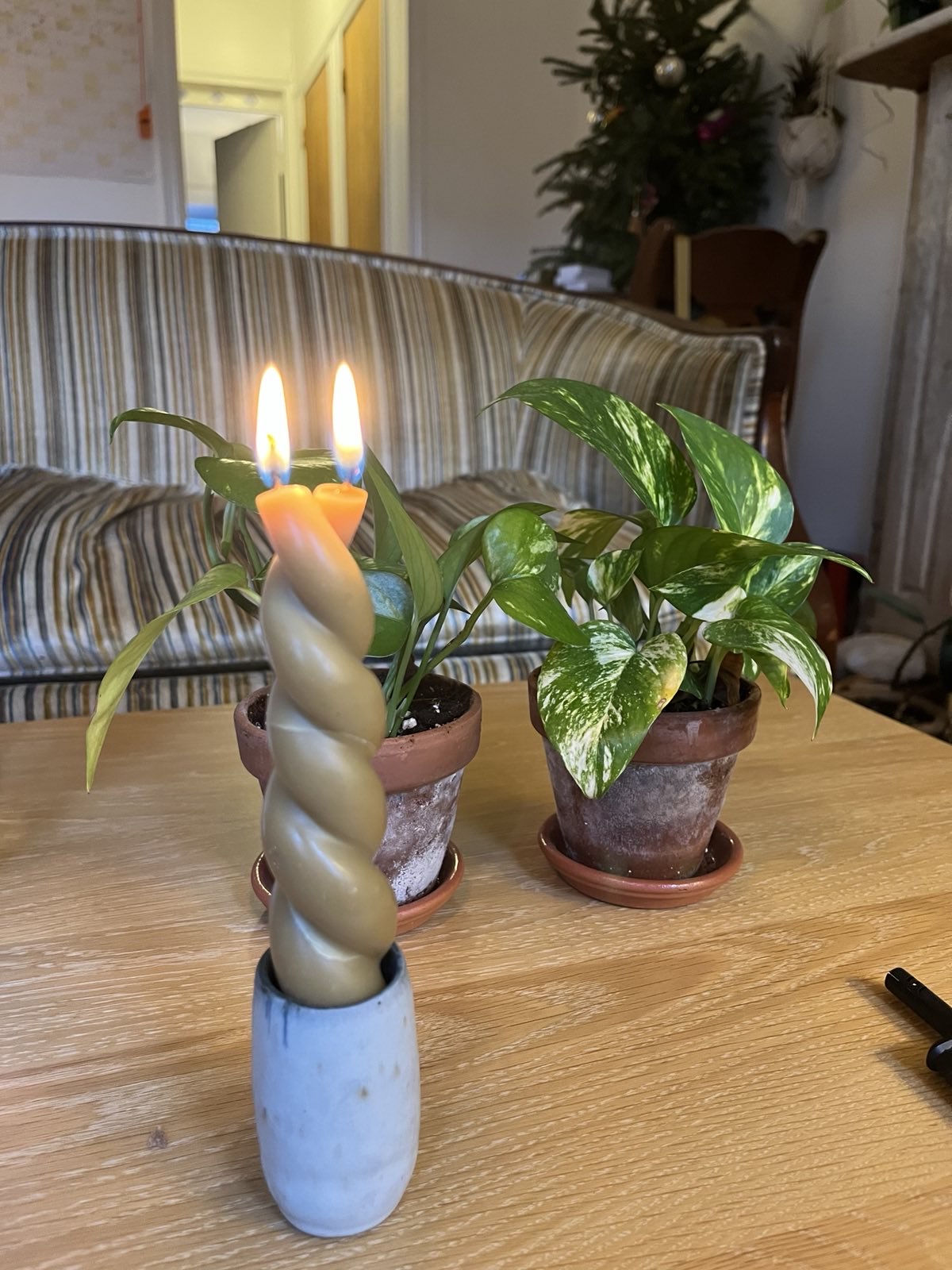 Miriam Khanan Archives - Marine Mills Folk School